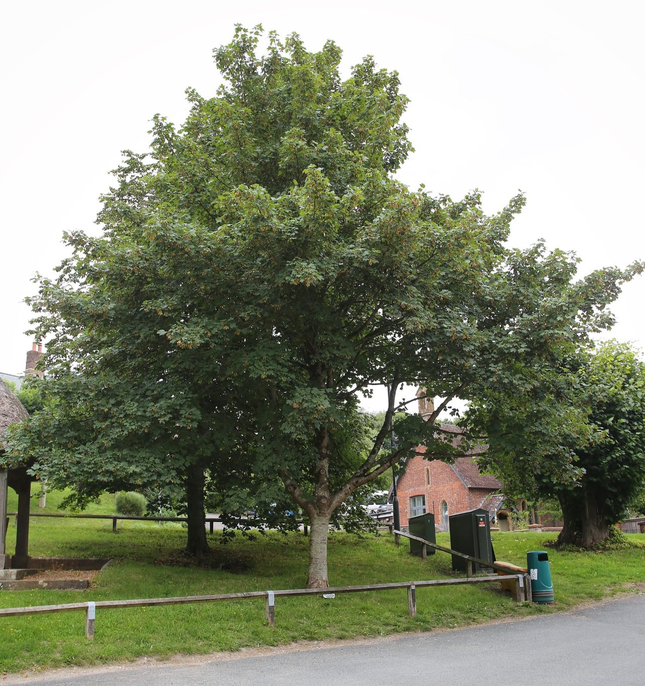 IN THE STEPS OF THE TOLPUDDLE MARTYRS | Dorchester Civic Society